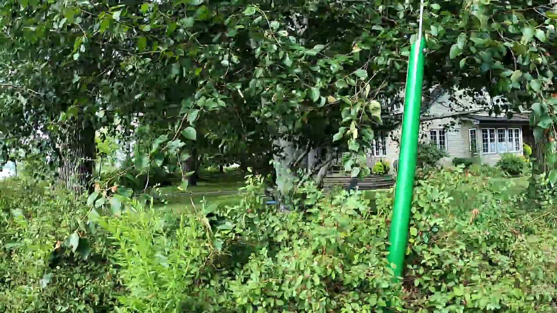 Stunning walking tour of Algonquin Island: Toronto Islands hidden gem!