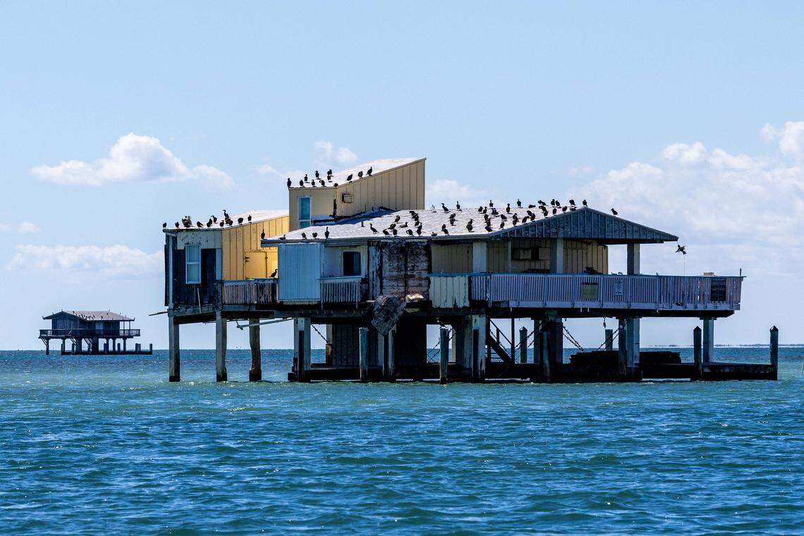 Taking a staycation or hosting a visitor? See these only-in-Miami places