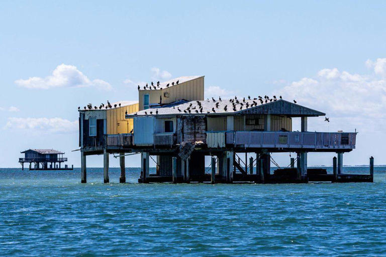 Taking a staycation or hosting a visitor? See these only-in-Miami places