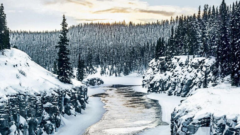 Travel: Chasing northern lights in chilly Yukon