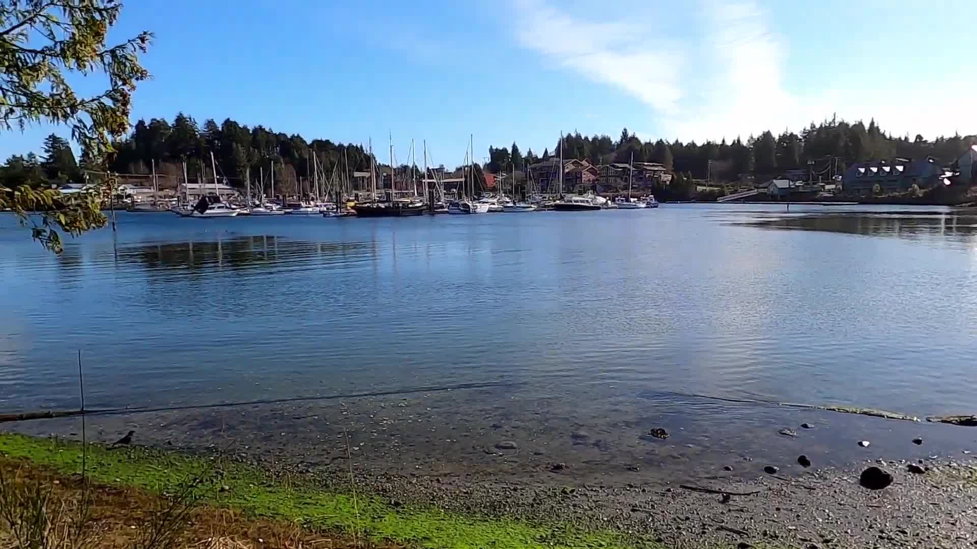 Exploring Ucluelet's Wild Pacific Trail: Ocean views, food & hidden gems!
