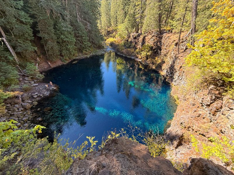 10 Oregon nature trails that make locals forget the city