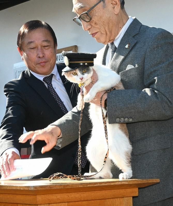 Kucing di stasiun Jepang naik jabatan, kenalan yuk!