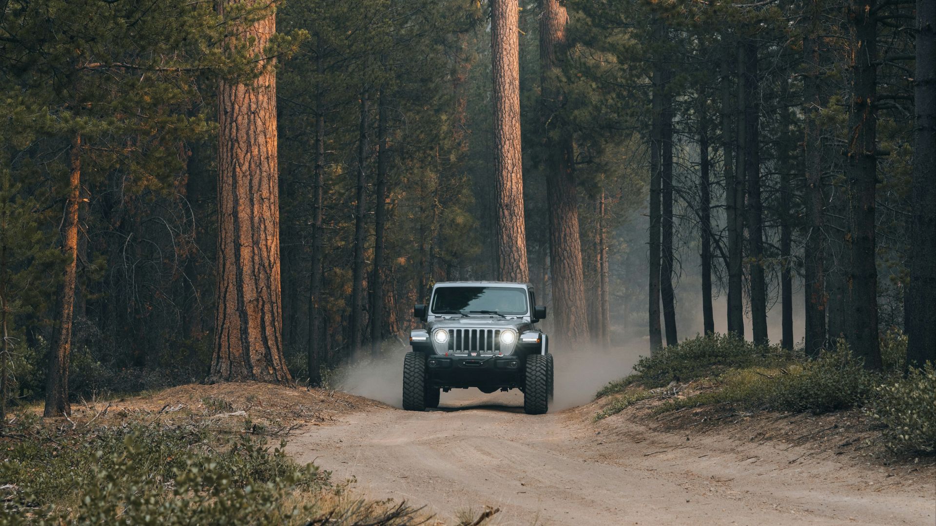 10 reasons to love Jeeps & 10 reasons to hate them