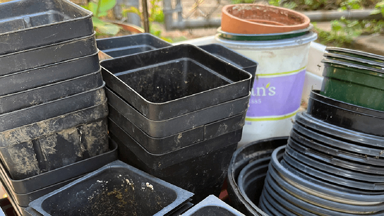 12 reasons why you might want to avoid plastic containers for vegetables