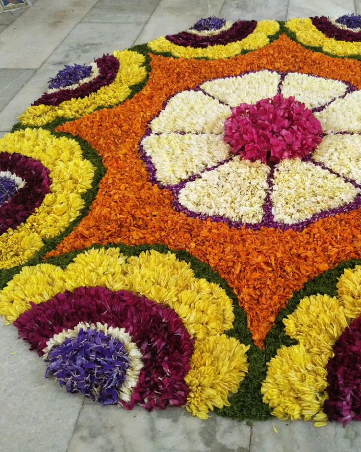 Pongal 2026: Beautiful kolam design ideas to welcome prosperity