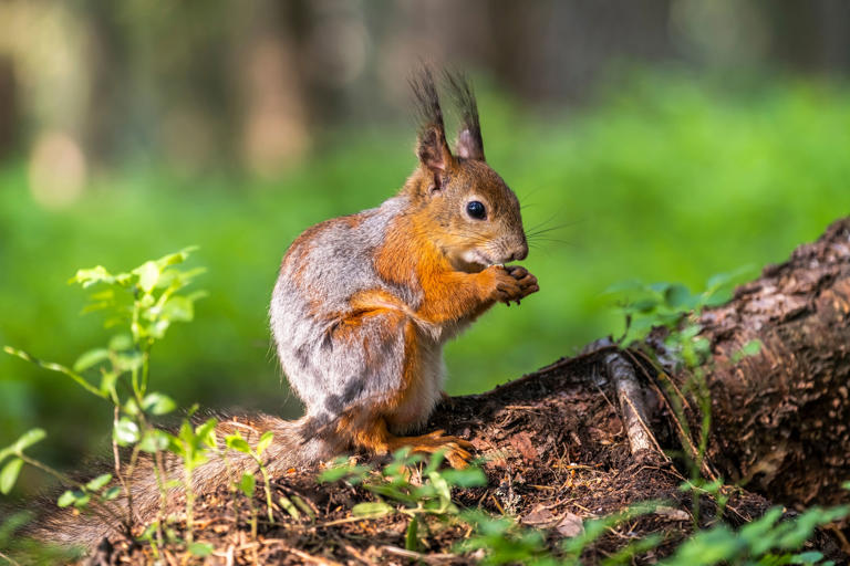 People are sharing the red flags they look for when seeing a home for ...