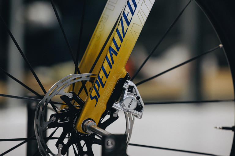 Remco Evenepoel’s Specialized S-Works Tarmac SL8 for 2026: Gold accents ...