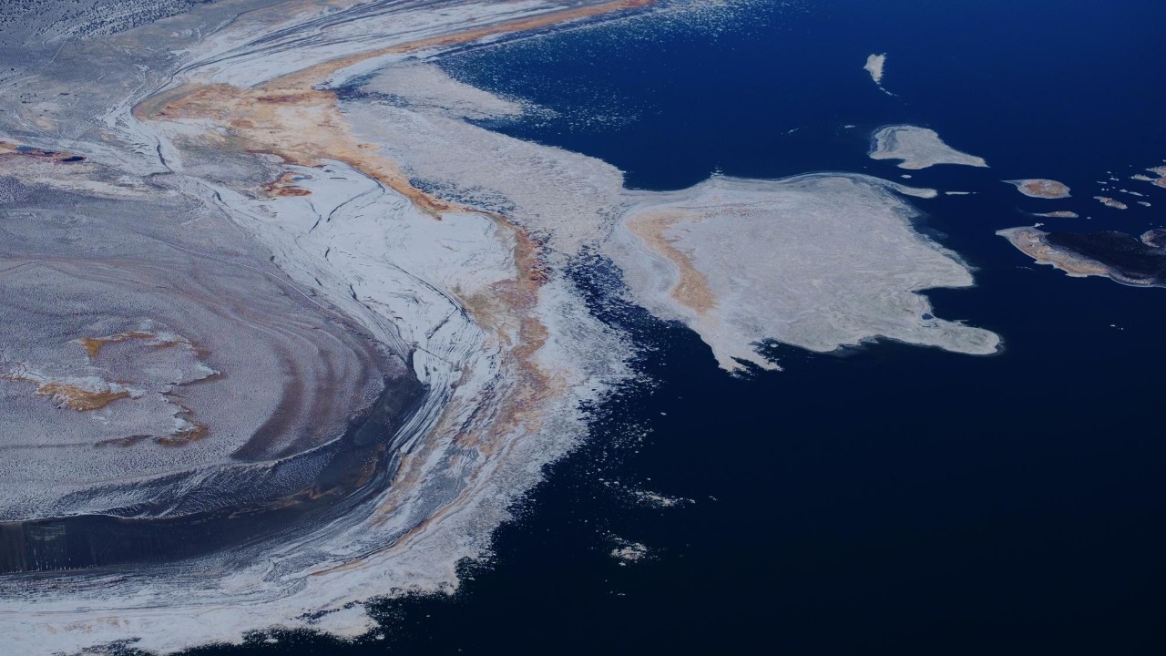 NASA zoomed in on the ocean and found a tiny red organism feeding whales