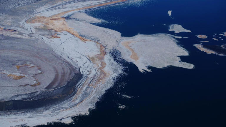 NASA zoomed in on the ocean and found a tiny red organism feeding whales