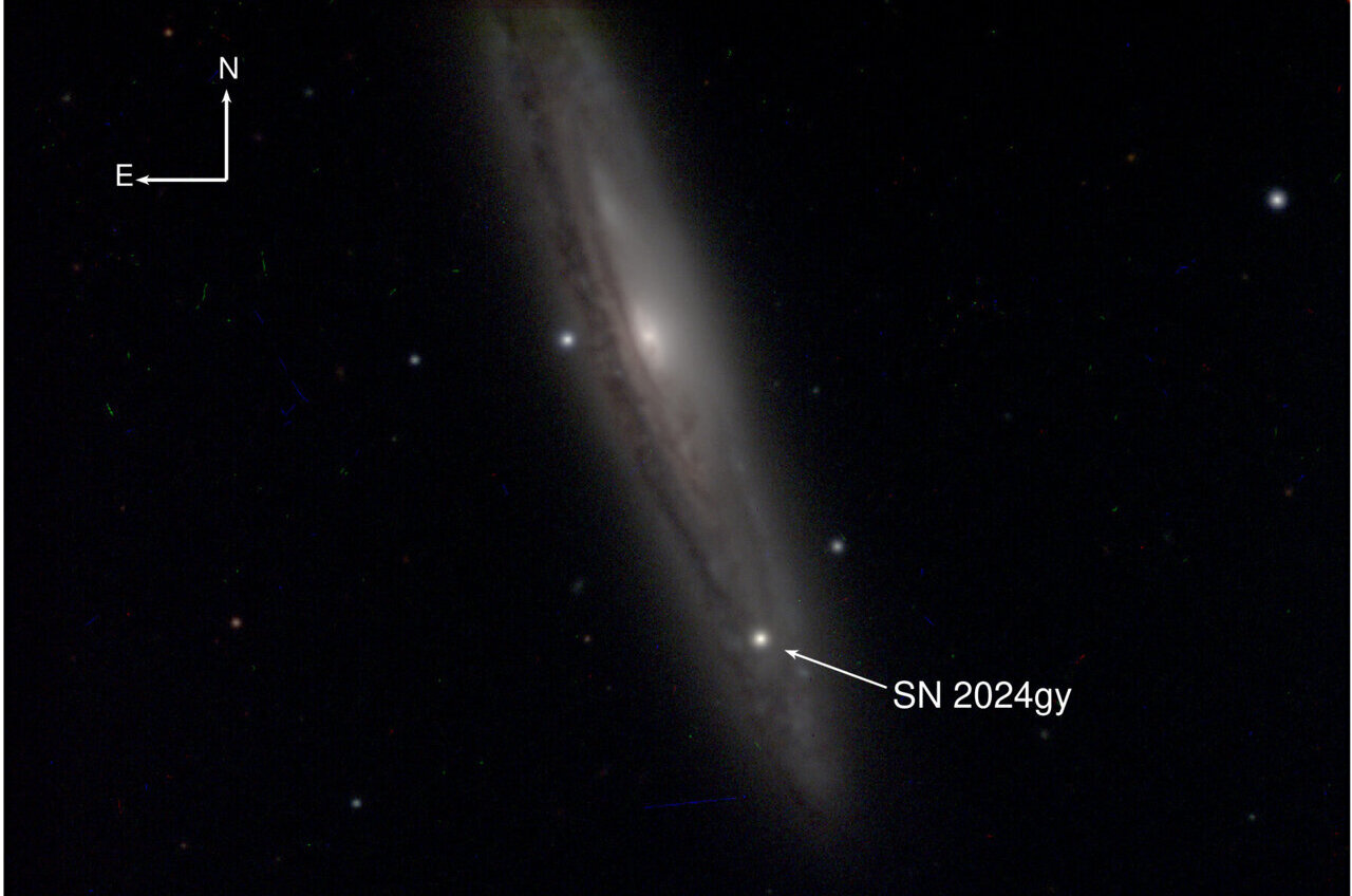 Type Ia supernova delayed-detonation model supported by SN 2024gy ...