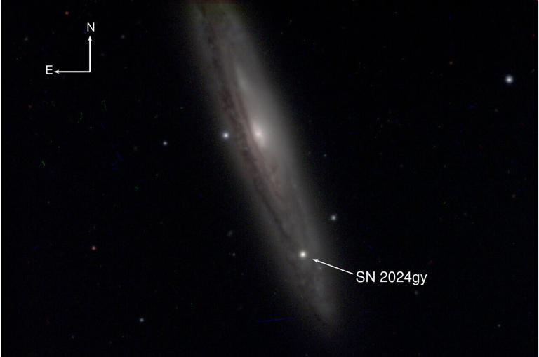 Type Ia supernova delayed-detonation model supported by SN 2024gy ...