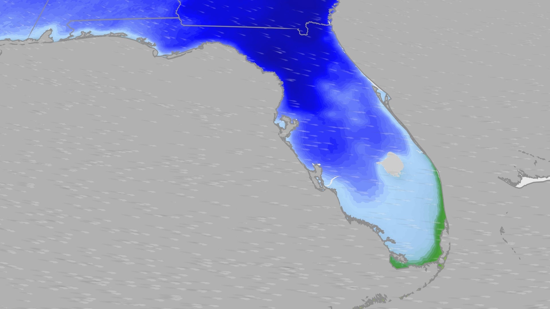 Arctic front leaves Sunshine State shivering