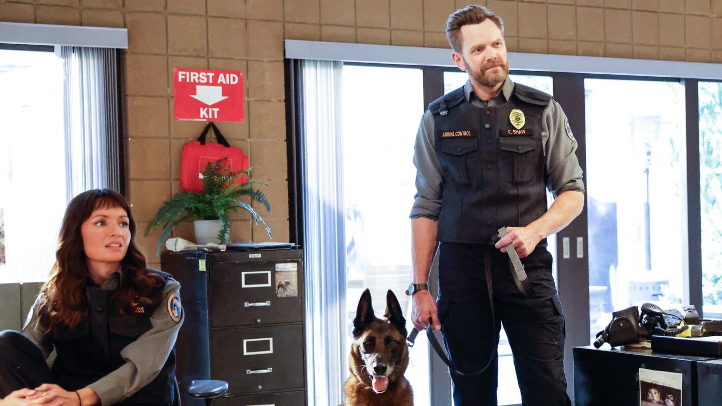Animal Control season 4 dogged by romance & rivalries