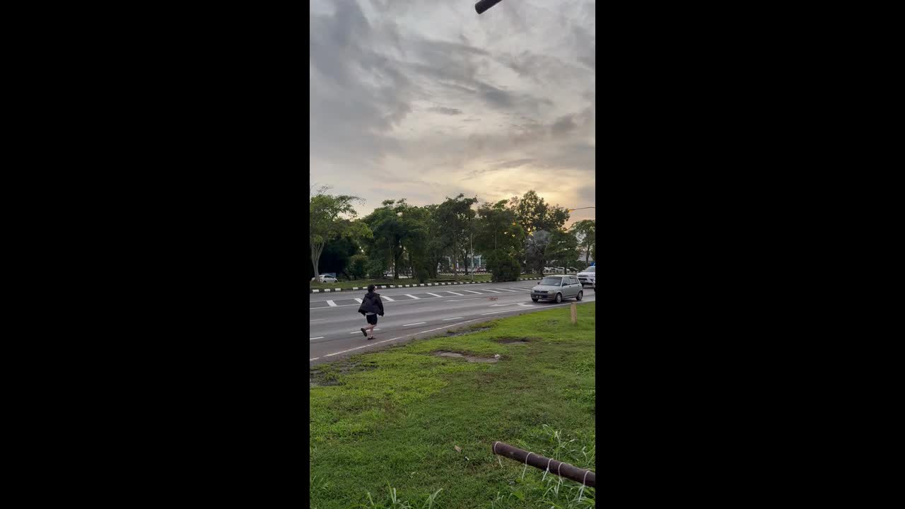 Girl runs into busy road to rescue stray cat in peril