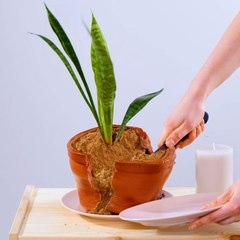 Fancy dessert decorations made of usual candies