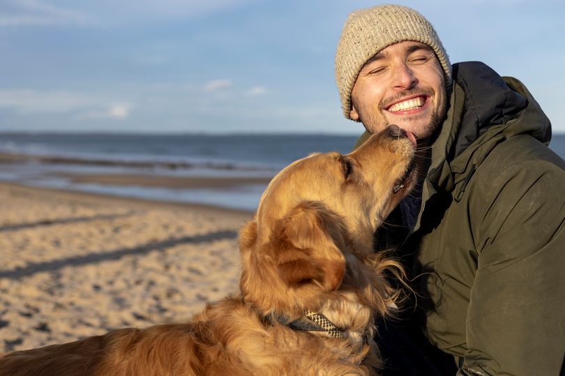 Dog walkers urged to follow government rule when out in cold weather