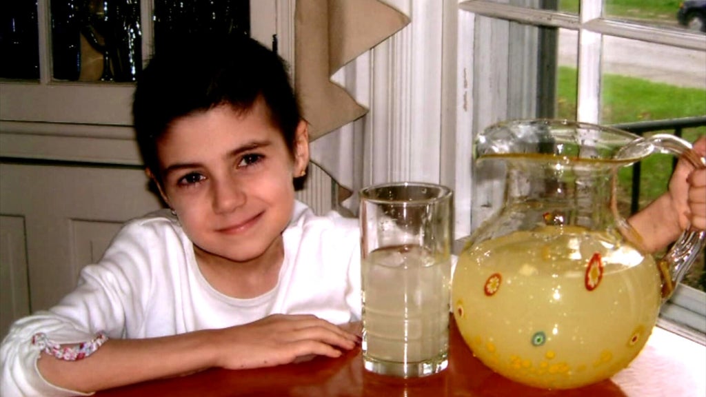 Alex's Lemonade Stand Foundation Lemon Ball celebrates 20 years in the ...