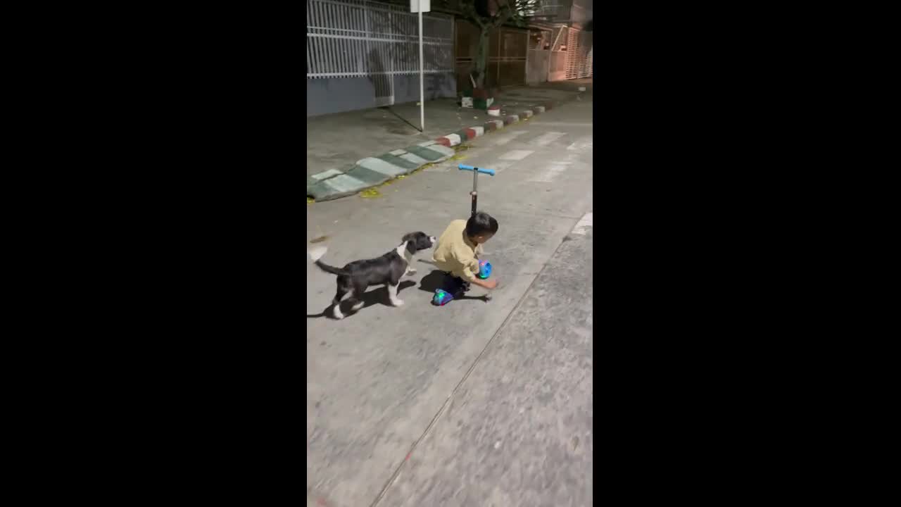 Toddler shows impressive scooter skills in Cali, Colombia