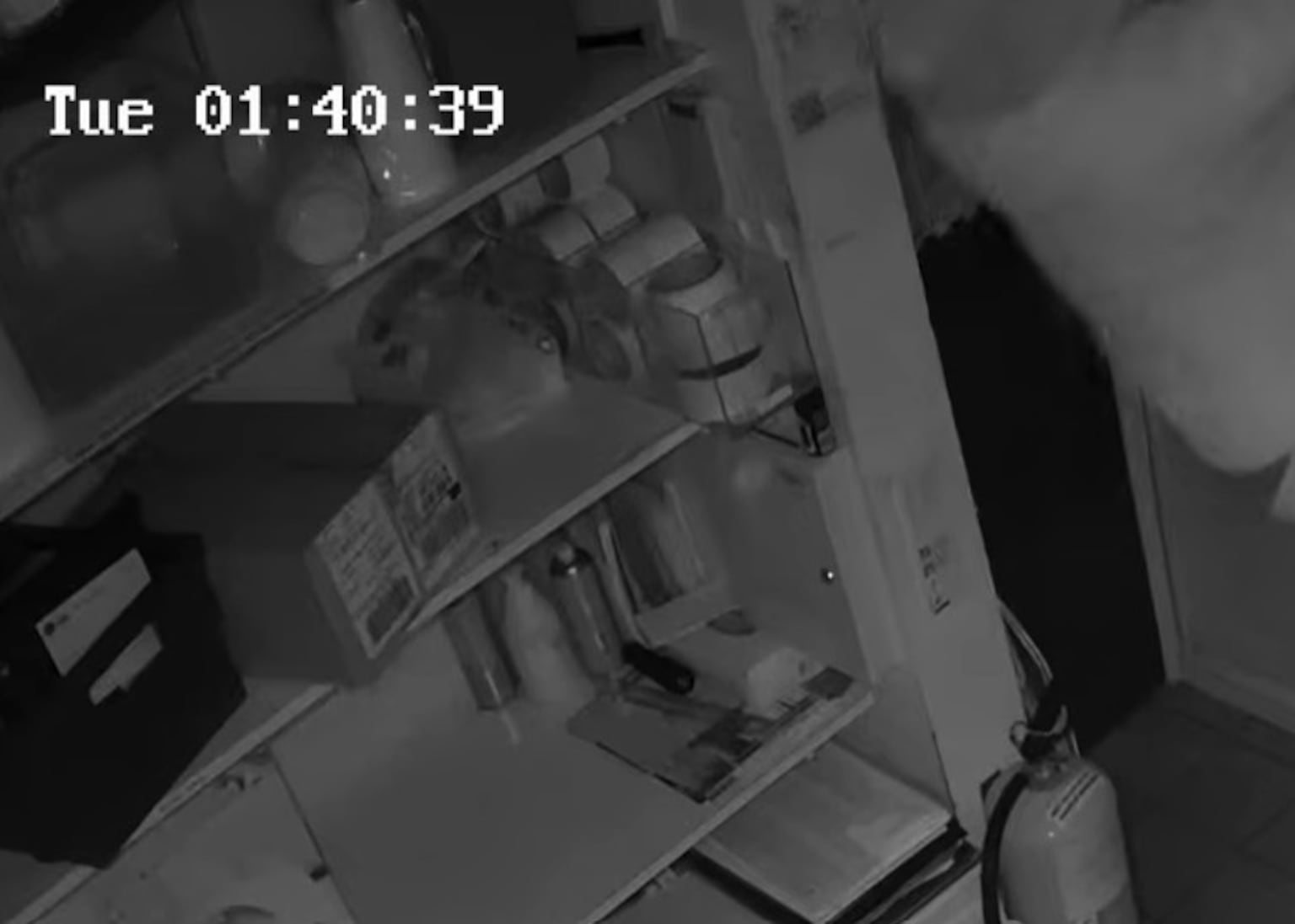 Police share 'genius' video of bungling burglar crashing to Earth