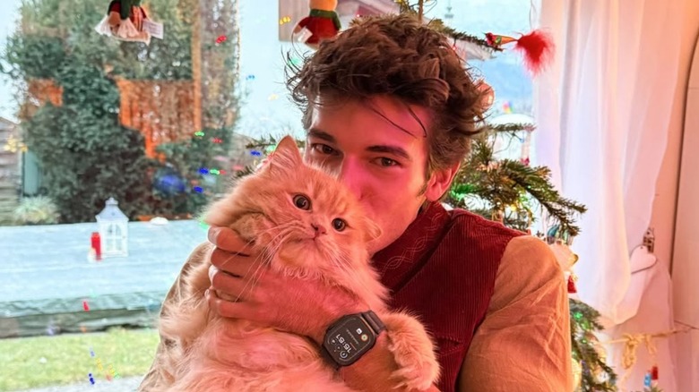 Ginger cat seeing his first snowfall is simply magical