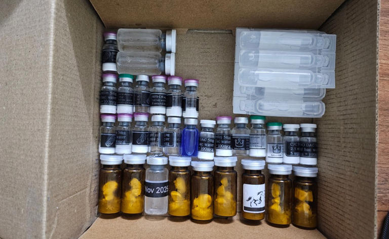 Welcome to the 'peptide gray market': where people are buying GLP-1s ...