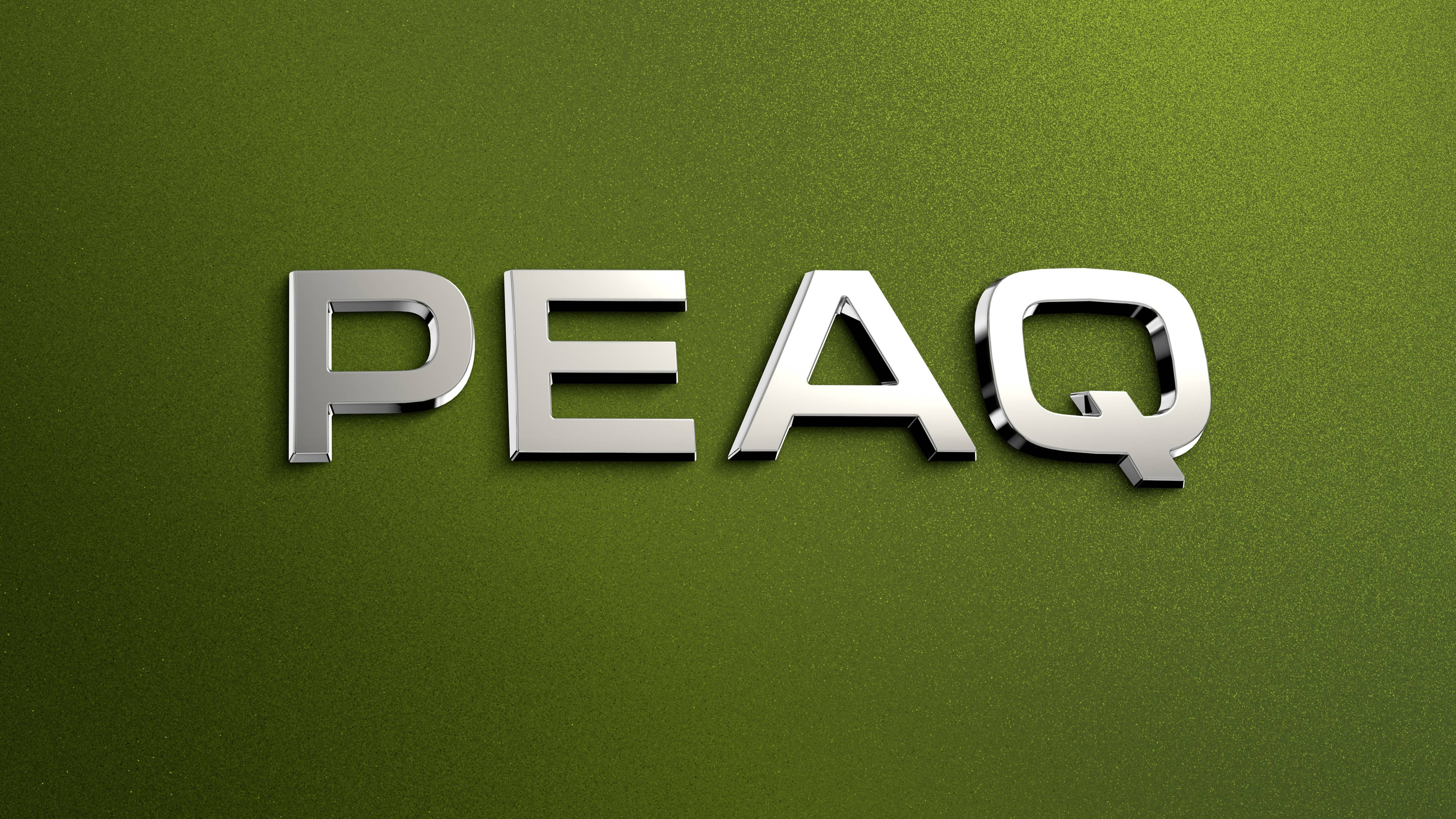 Skoda’s seven-seat electric SUV to be called the 'Peaq'