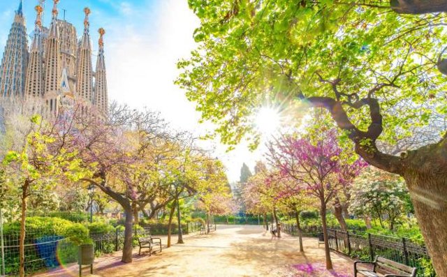 Comunicado: Copisa avanza sus obras: entorno de la Sagrada Família, CAP ...