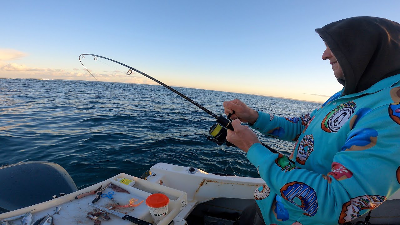 Hooking shallow water kingfish, inshore fishing Australia