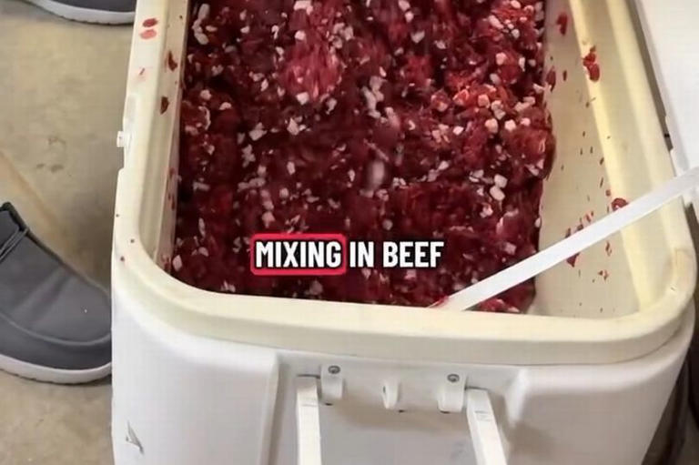 People say it's disgusting but I serve my family roadkill - and they ...