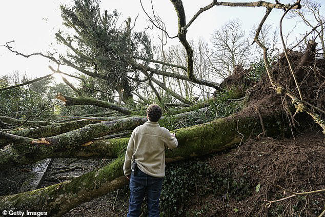 Frustrated residents hit out at lack of response after Storm Goretti ...