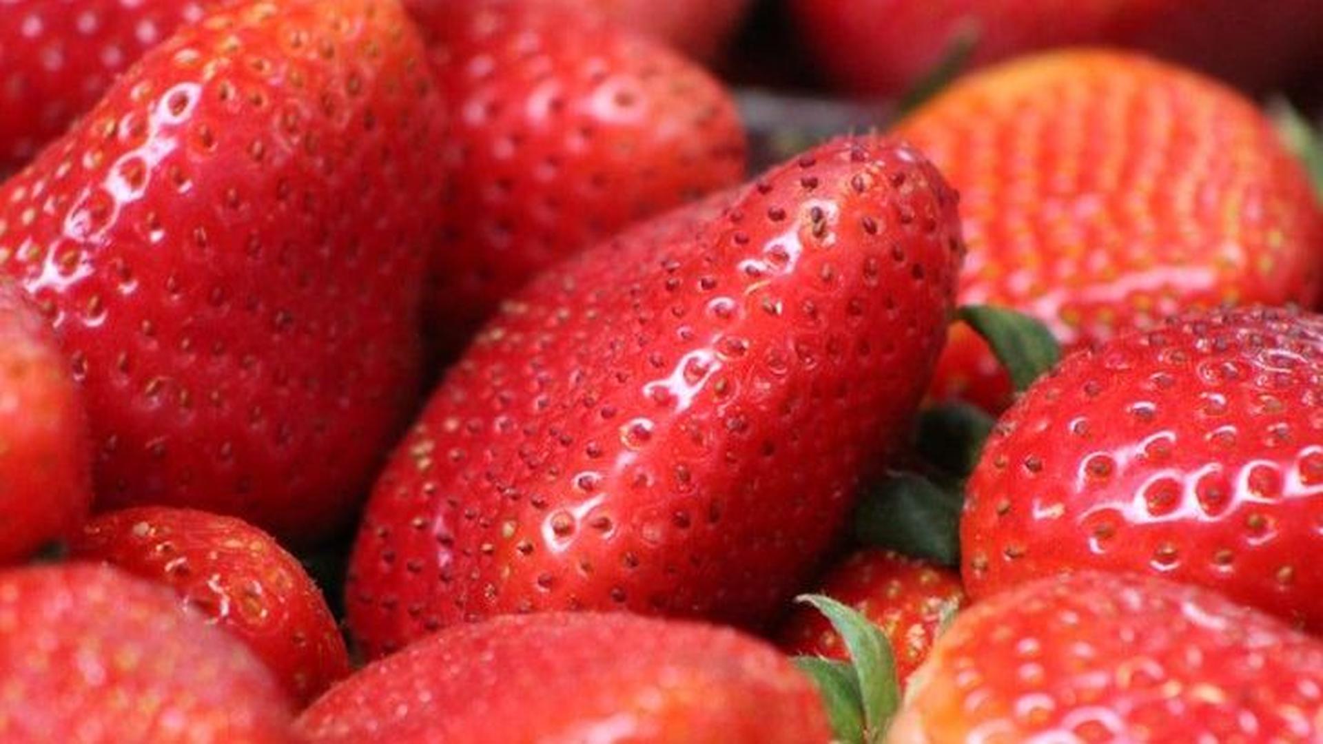 6 grocery items you should always buy organic - health experts suggest