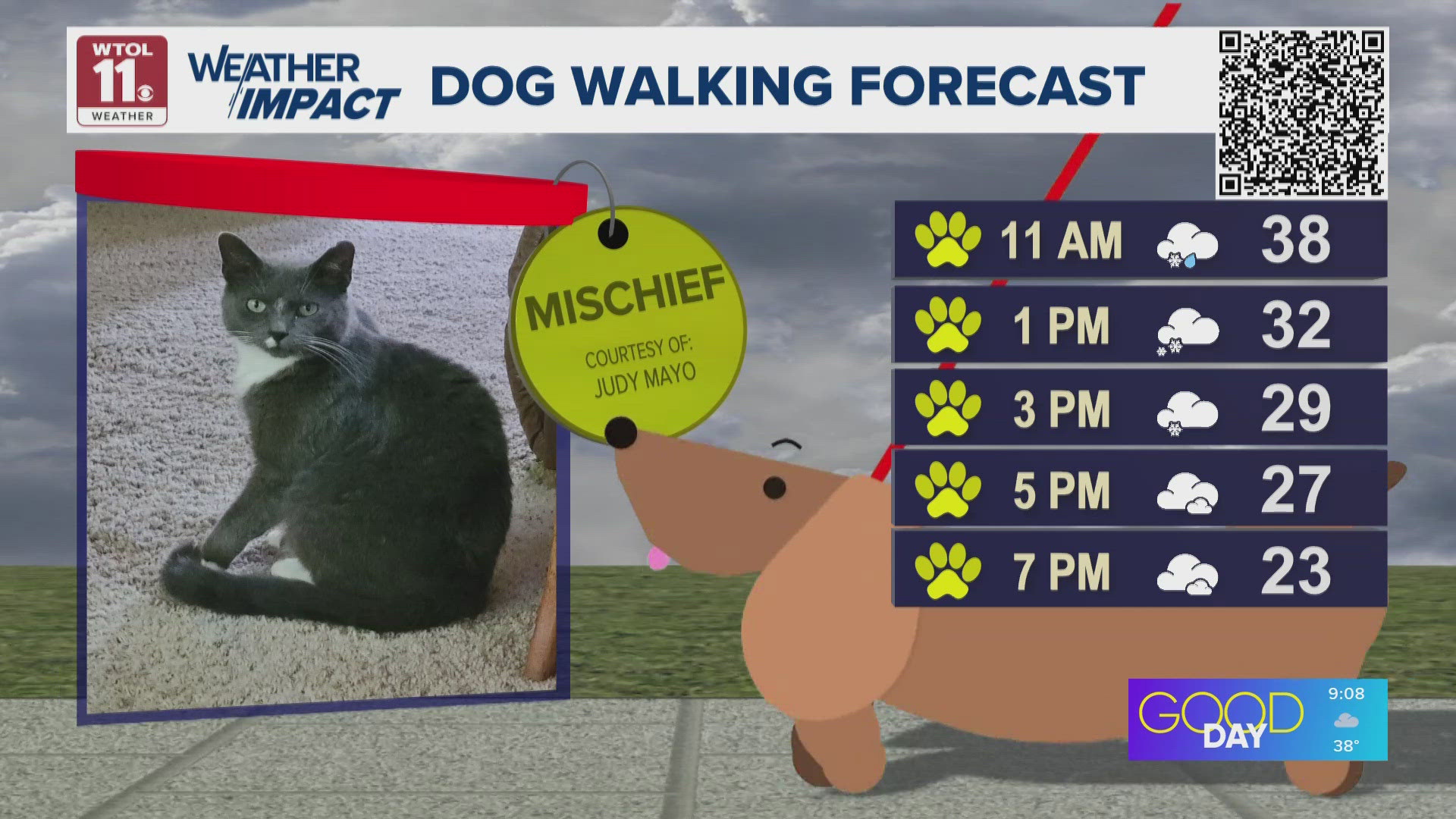 Dog walking forecast: It's a yellow paw for Wednesday | Good Day on WTOL 11
