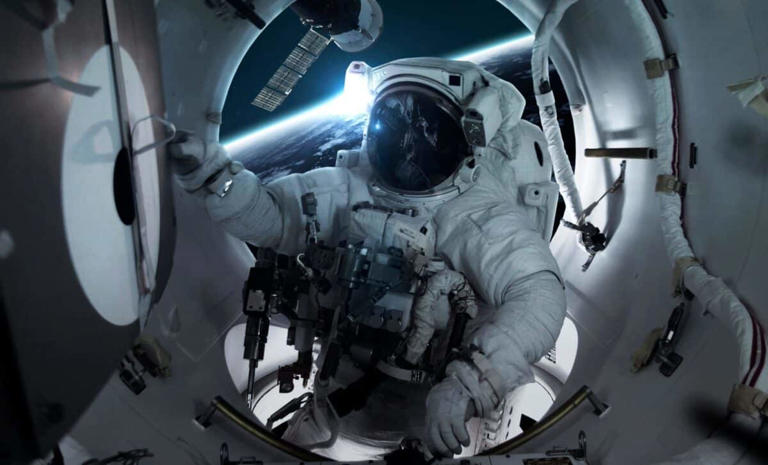 Astronauts came back from space with scrambled brains, study shows