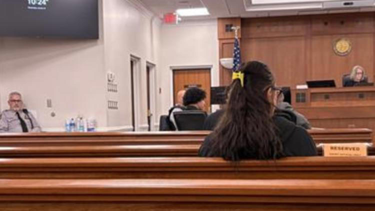 Orange County murder trial: Defense attorney claims slain teen killed ...