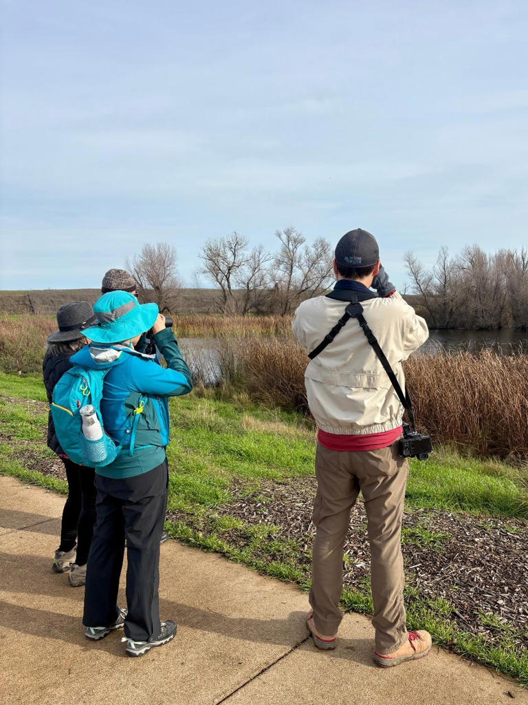 More species seen in Christmas Bird Count