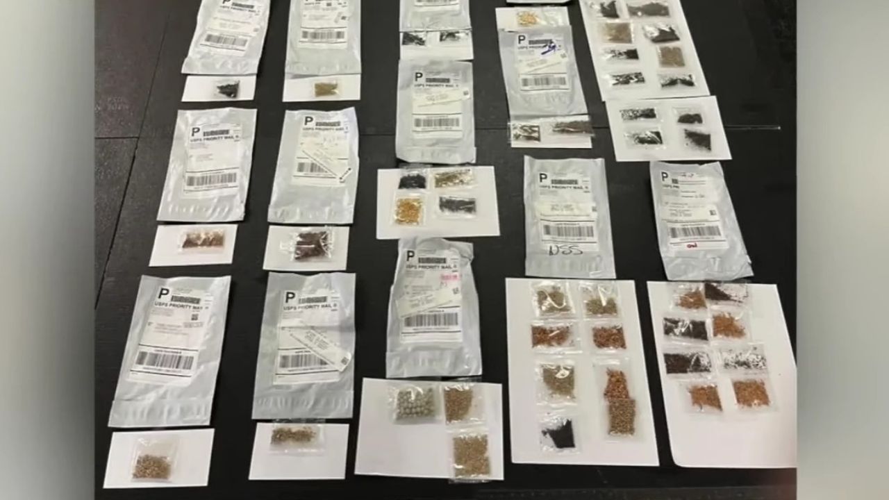 Texas residents report mystery seed packages arriving from China as ...
