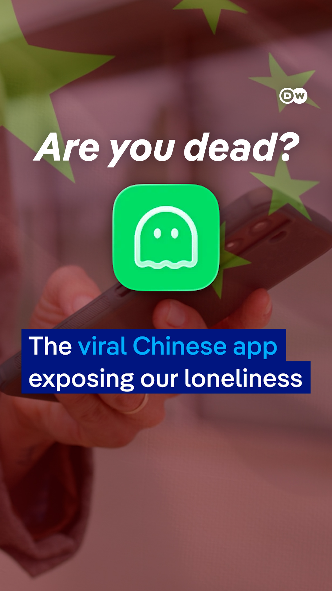 Araucaria trees in southern Chile are vanishing, but in Mapuche ...