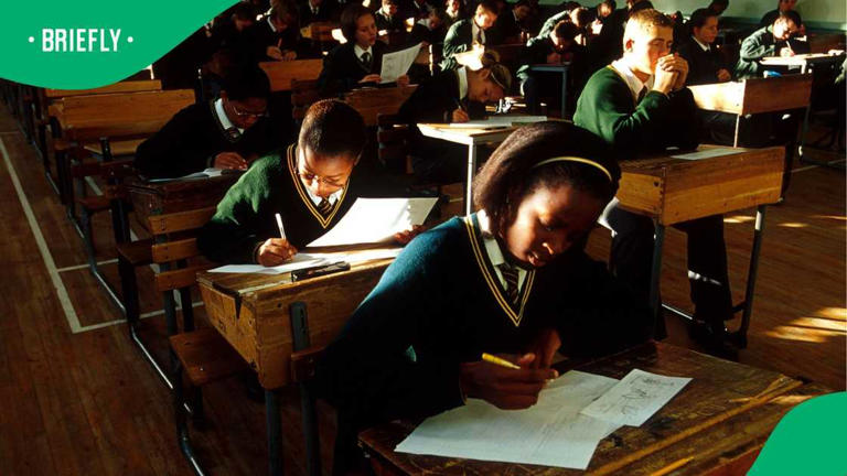 50 Limpopo learners take on Department of Education in court over ...