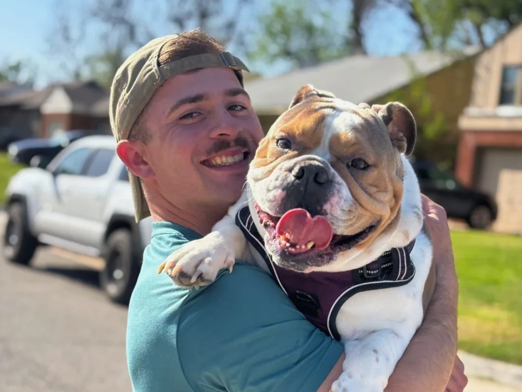 Soldier dog reunion turns into pure chaos when his bulldog realizes it ...