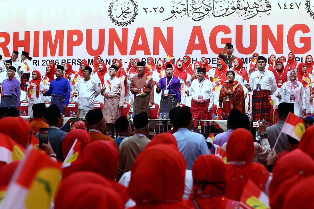 ‘Rude? I don’t agree’: Umno Youth must be loud, rebellious - Mohamad