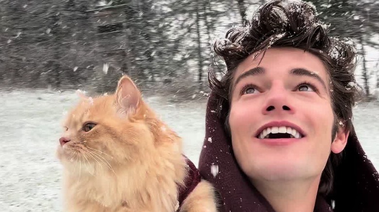 Ginger cat seeing his first snowfall is simply magical