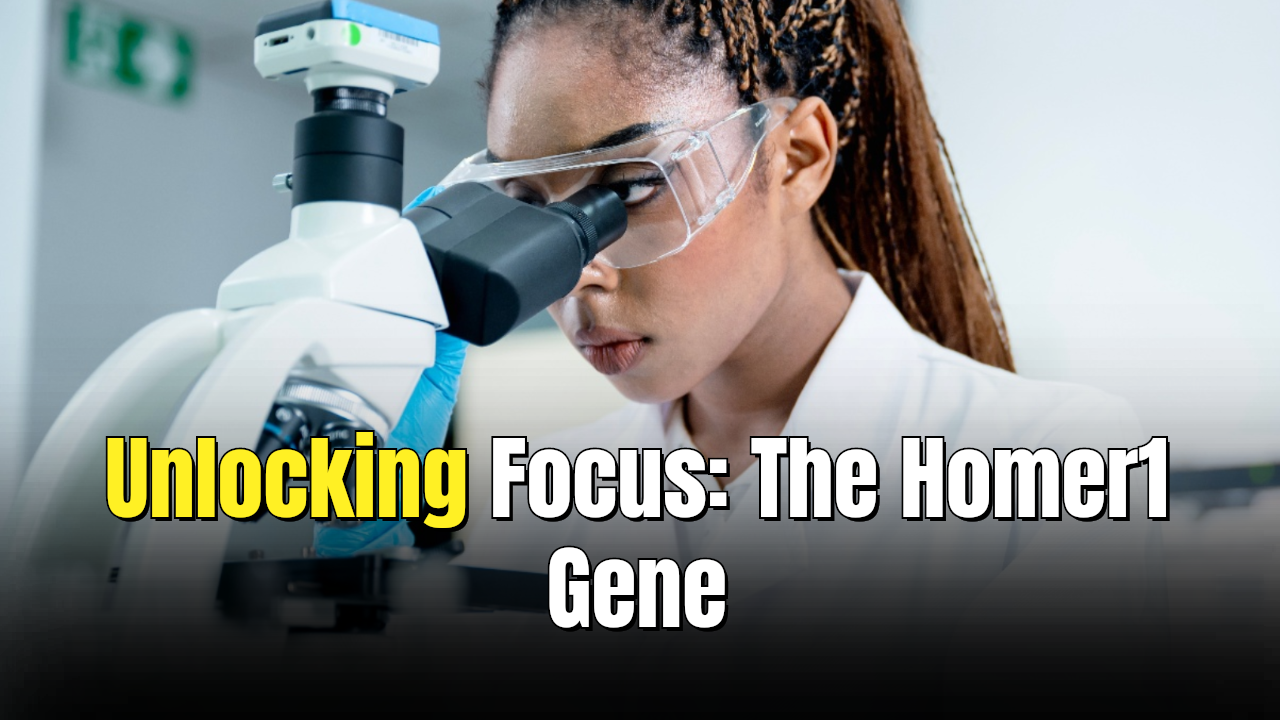 ADHD news: Researchers discover a gene that shapes how well the brain ...