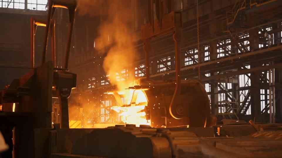 The Alaskan tree that quietly took over British woodlands