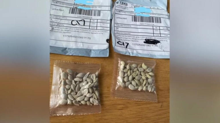 Texas residents report mystery seed packages arriving from China as ...