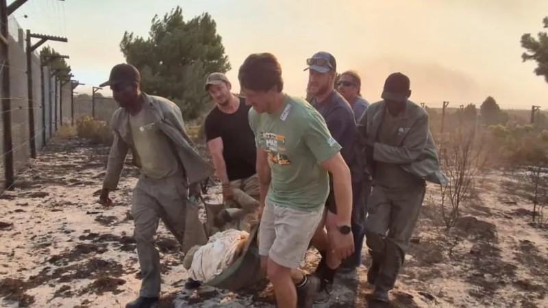 Western Cape wildfires: Stanford big cat sanctuary appeals for urgent ...