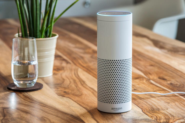 Millennial parent warned about Amazon Echo by Gen Z kid—and she’s right