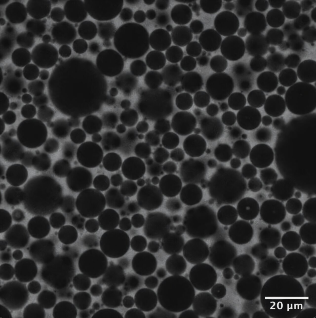 Physics of foam strangely resembles AI training