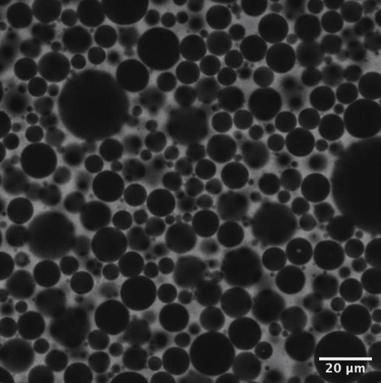 Physics of foam strangely resembles AI training