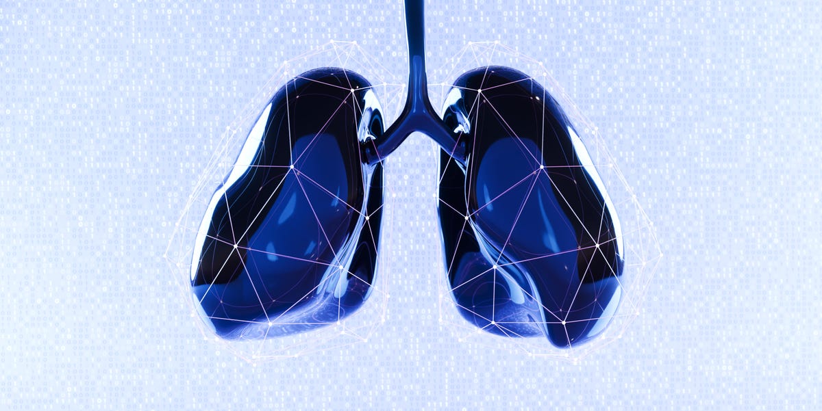 Scientists are trying to beat tuberculosis by infecting a human ‘lung ...